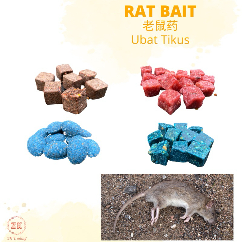 Ubat Tikus / Rat Bait / 老鼠药 | Shopee Malaysia