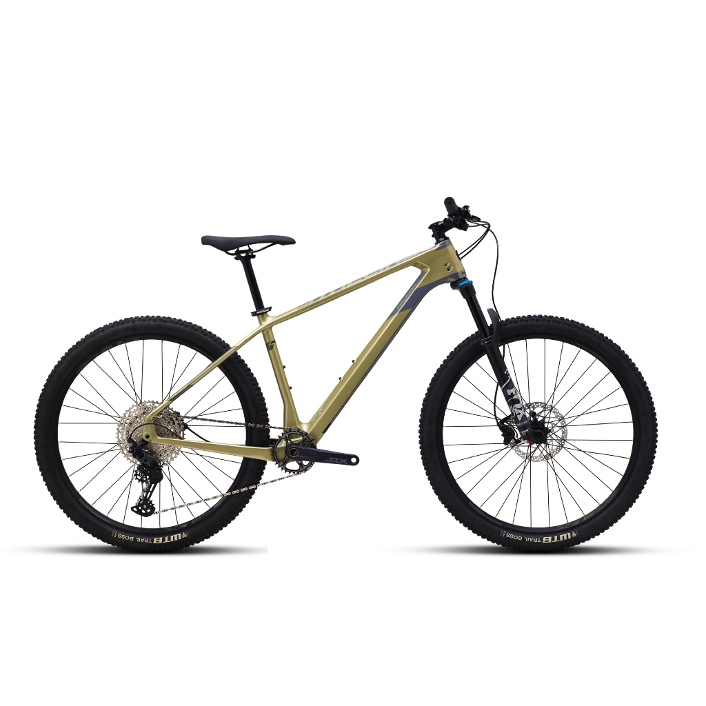 POLYGON - Syncline C5 XC Carbon Mountain Bike | Shopee Malaysia