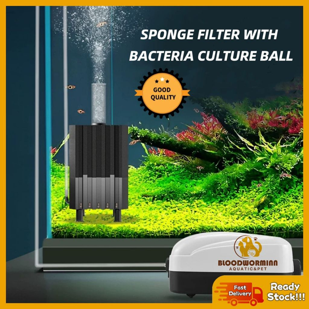 Aquarium Bio Sponge Filter with Media Space Breeding Tank水妖精（READY ...