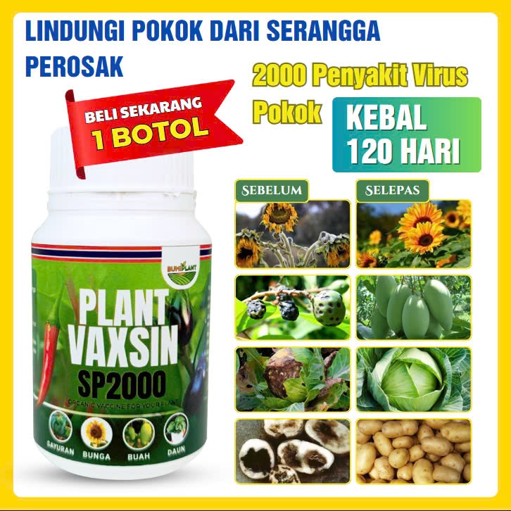 PLANT VAXSIN SP2000 | Imunisasi Pokok | Lindungi Dari 2000 Jenis Perosak | Original HQ | Shopee ...