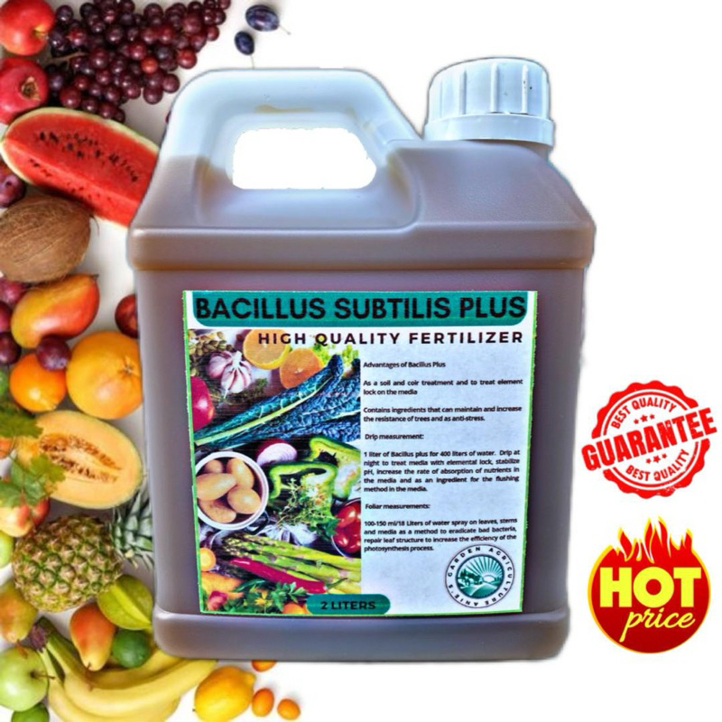 [2 liter] Bacillus Subtilis Rawatan Kulat Organik, Baja Foliar, Baja ...