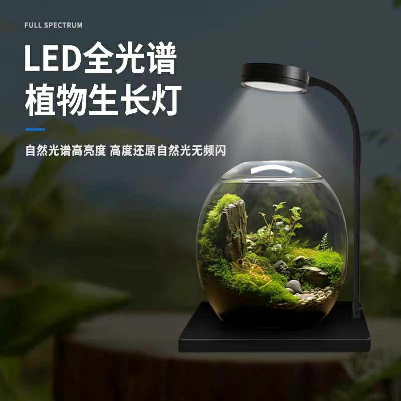 Limited Quantity Terrarium Led Light with Oak Board 5W/7W/9W | Shopee ...