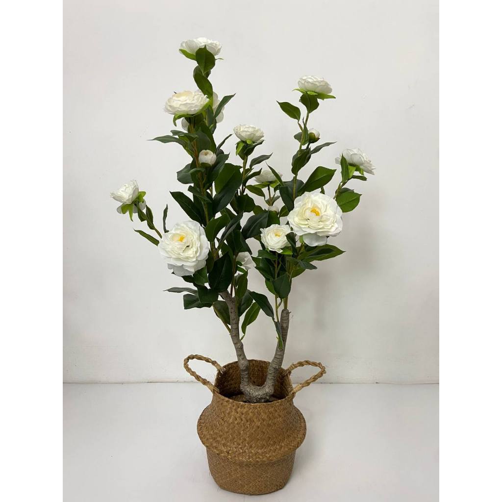 Pokok Bunga Camellia Putih 90cm / Decorations Camellia white Hiasan ...