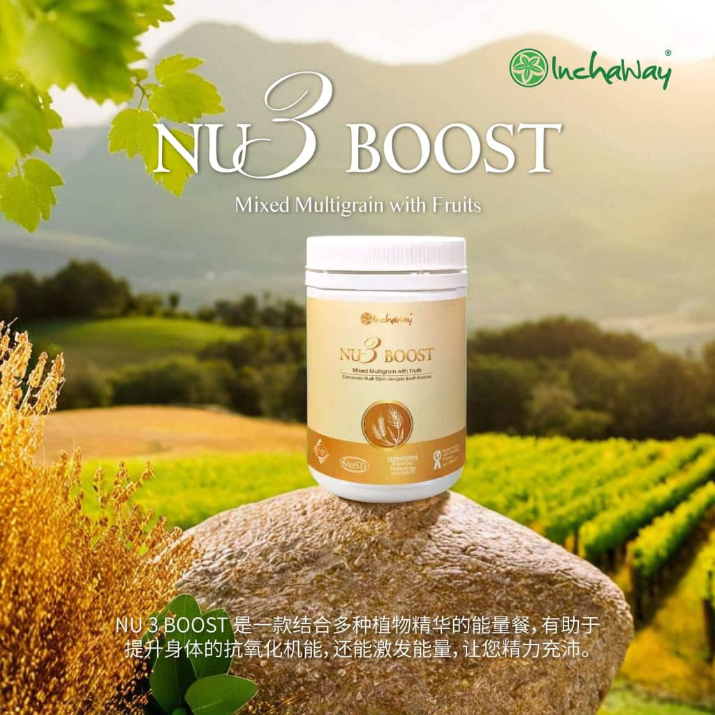 Inchaway Nu3 Boost [READY STOCK] Twelve Major Nutrients/Mix Multigrah with Fruits.多种植物精华能量餐/提升身体 ...