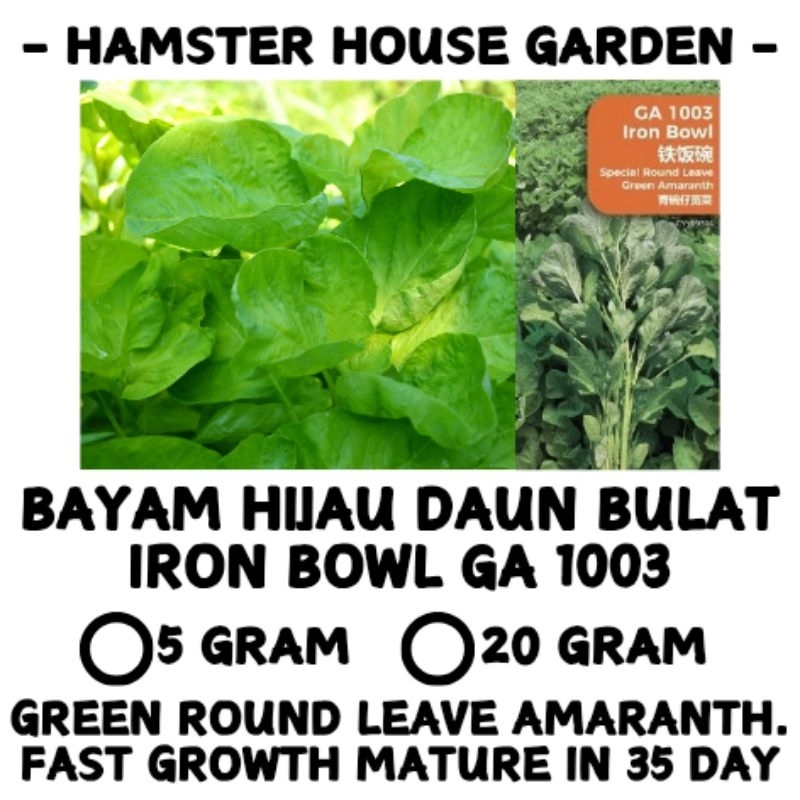 HSK [5gram/20gram] BAYAM HIJAU DAUN BULAT | GREEN AMARANTH SEED | IRON ...
