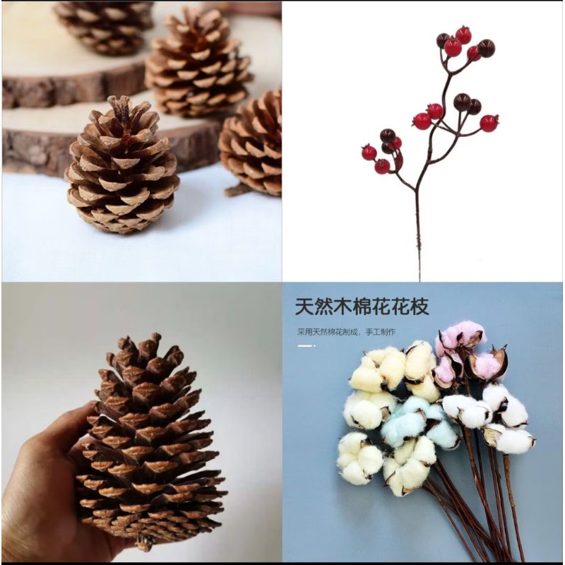 🔥Ready Stock🔥Natural Pine Cone Chewing Bird Toys Perches Chew Toys for ...