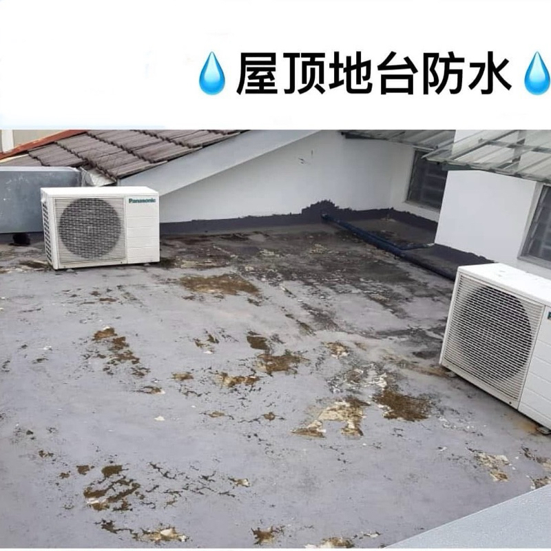 1Kg Pentens T-007 Cement Modifier 防水底层涂料 WP Primer Waterproofing ...
