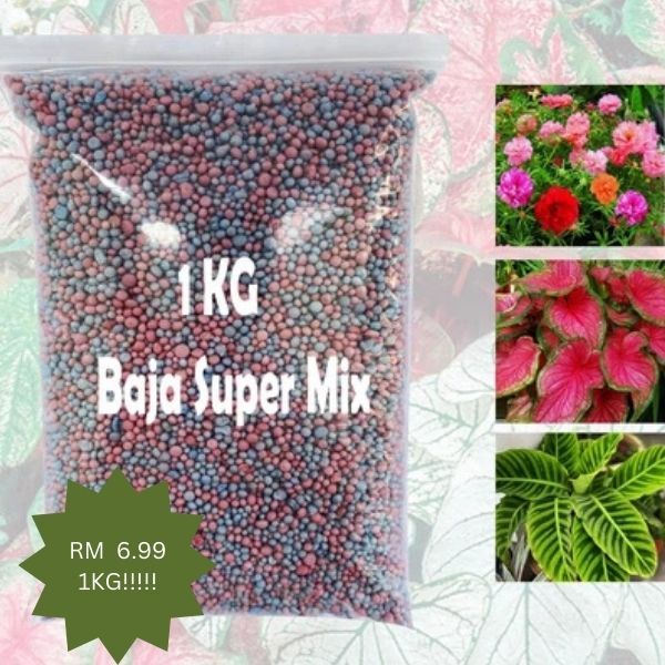 1kg Baja Super Mix / Baja Mix Subur/Bunga/Buah Paksa Gemuk | Shopee ...