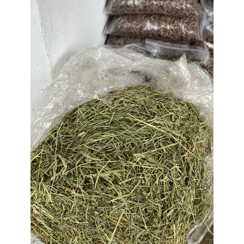 1KG FILTERED Premium US Timothy Hay | Shopee Malaysia