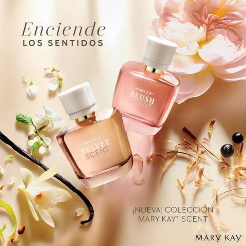 Fragrance Mary Kay Blush / Velvet Blush Scent (50 ml) | Shopee Malaysia