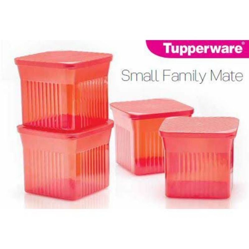 Tupperware Elegant Square 510mL (1pc) | Shopee Malaysia