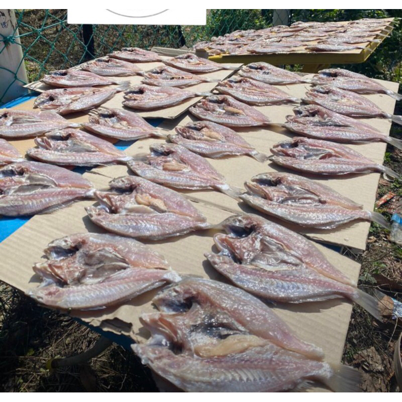 IKAN GELAMOUR BEKOK (1Kg) | Shopee Malaysia