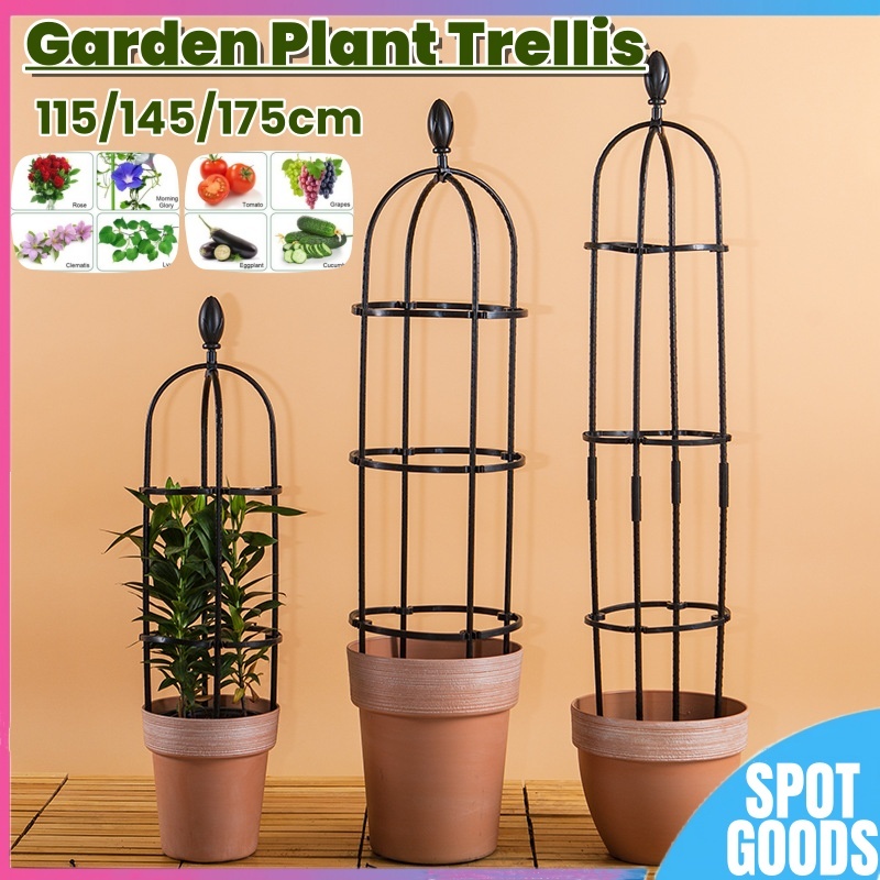 Specool-Outdoor Plant Stand Plant Support Climbing Frame Garden Plant Trellis Rose Tower Vine ...