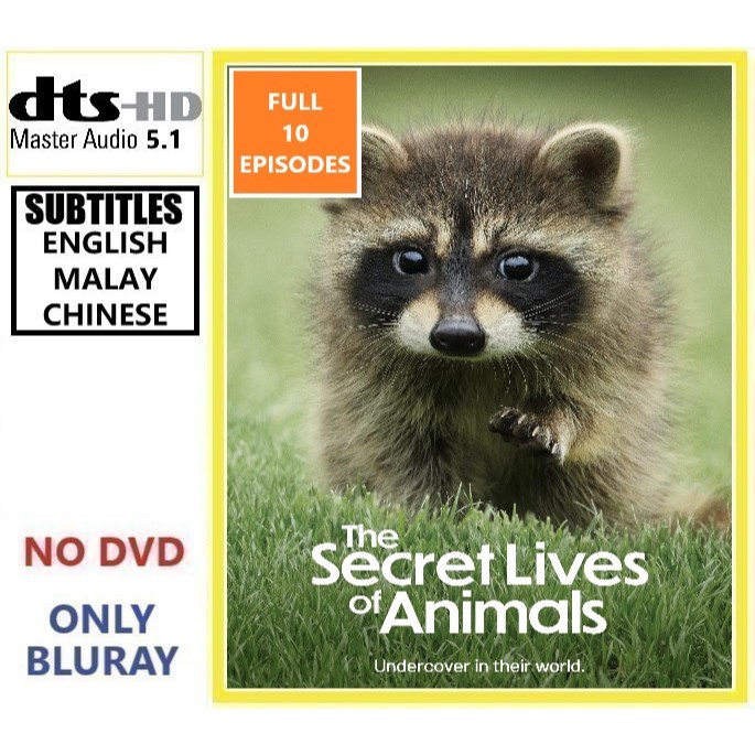 T2D109 The Secret Lives Of Animals (2024) [10 EPISODES] (2 DISCS ...