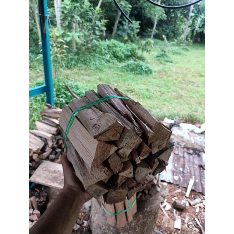 KAYU API CAMPING BBQ, SALAI, SMOKE (DARI POKOK SETOI) | Shopee Malaysia