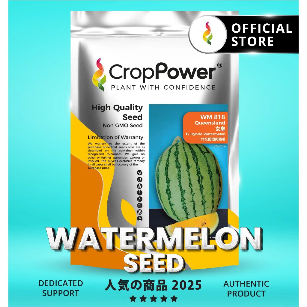 (200 GRAM) Biji Benih Tembikai Kuning Queensland 女皇 WM818 CROP POWER ...