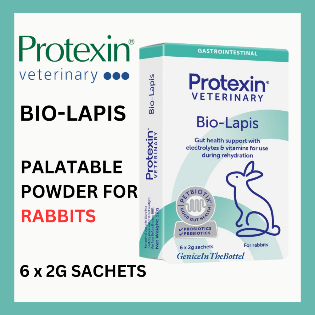 (EXP: 11/2026) Bio-Lapis Palatable Powder for Rabbits (6x2gm sachets ...