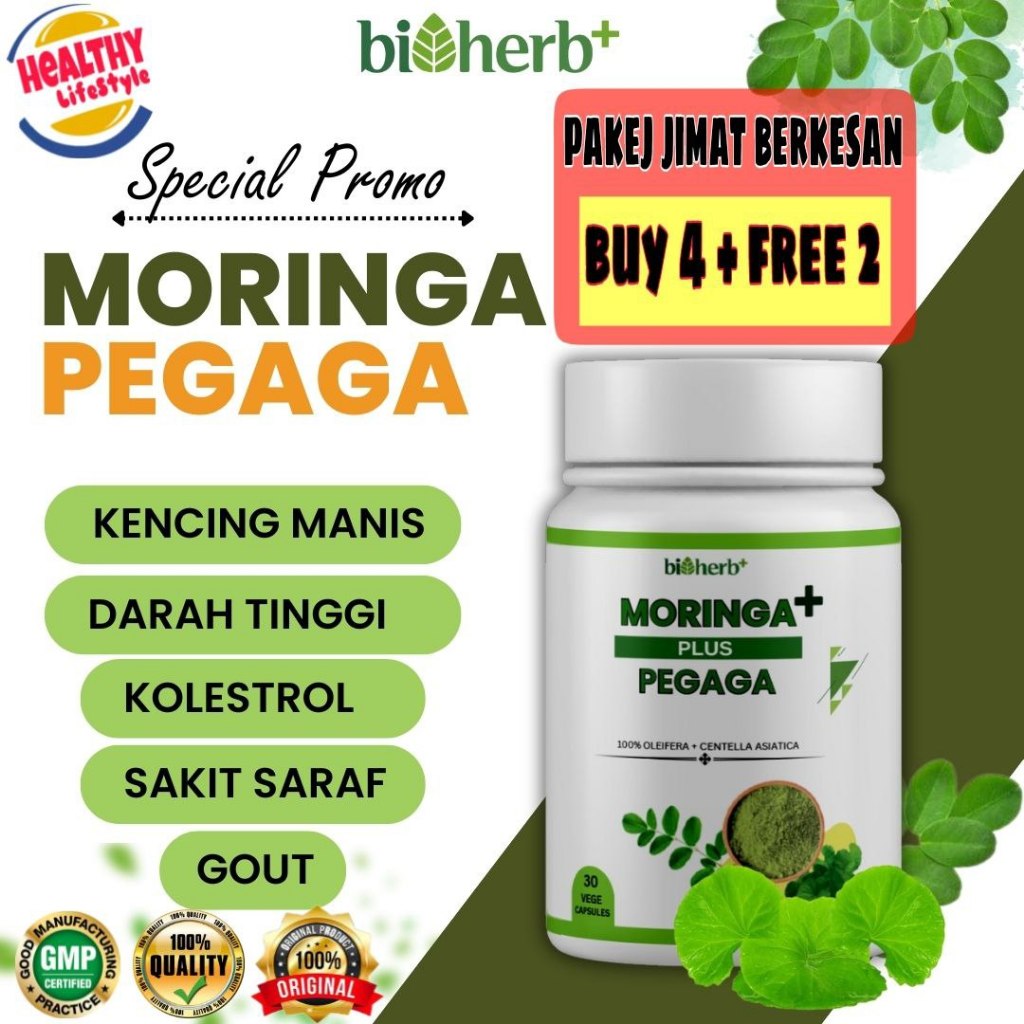 [New Arrivals] Moringa Oliefera Plus Pegaga Bioherb Kapsul Extract Daun ...
