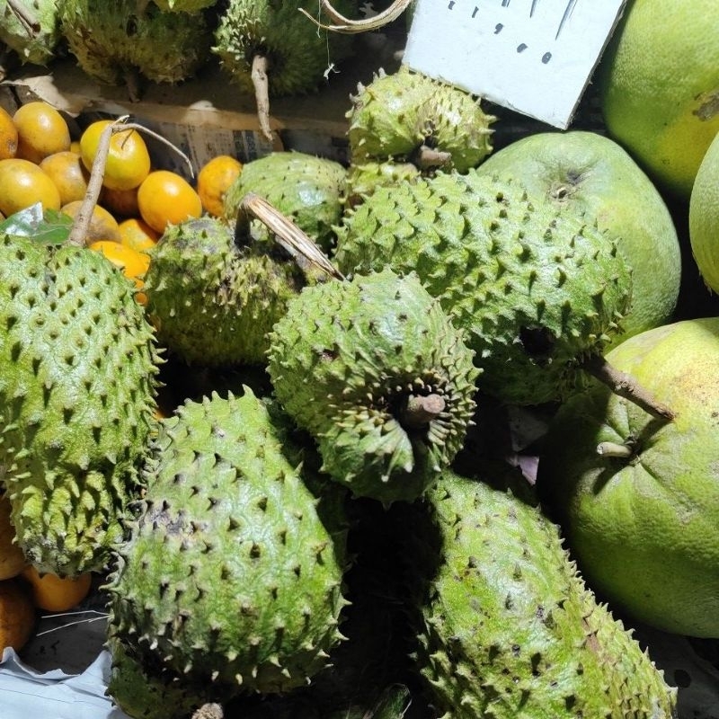 BUAH DURIAN BELANDA/DURIAN SAYUR/SOURSOUP 1 BIJI | Shopee Malaysia