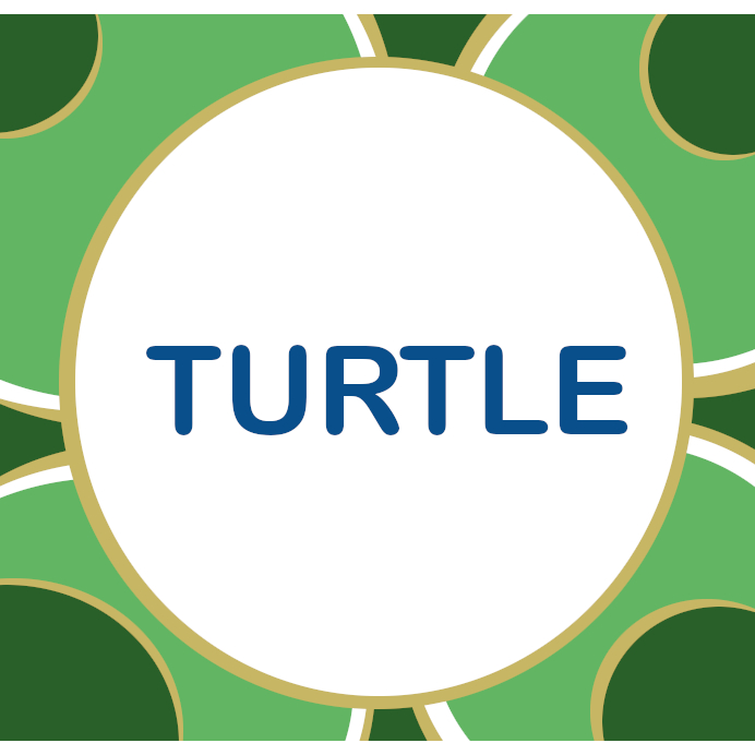A.D.M - Turtle MFR GAME IN TYPE S EDITION (PC GAME) | Shopee Malaysia