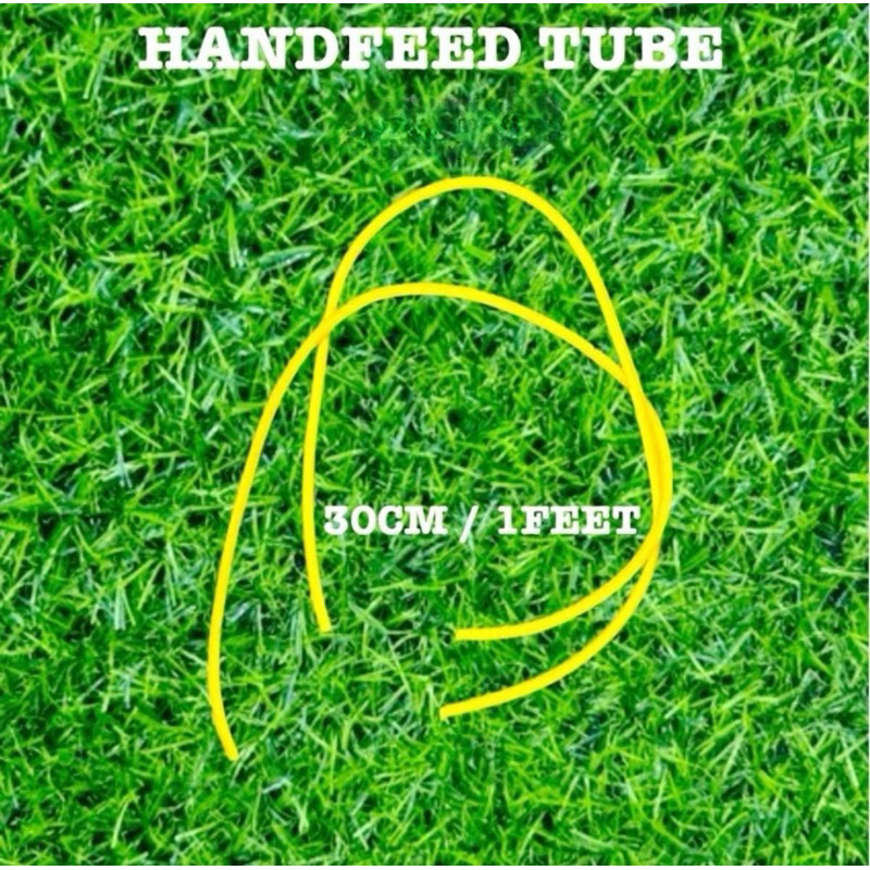 Getah Tiub Bird Handfeefing | Shopee Malaysia