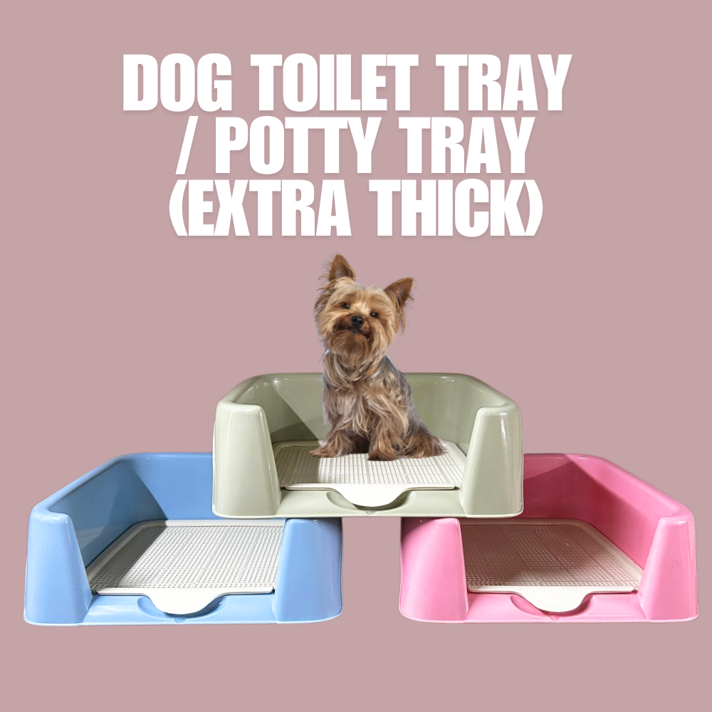 Extra Thick Dog Toilet Tray / Potty Tray Small Size Litter Tray (41CM x ...