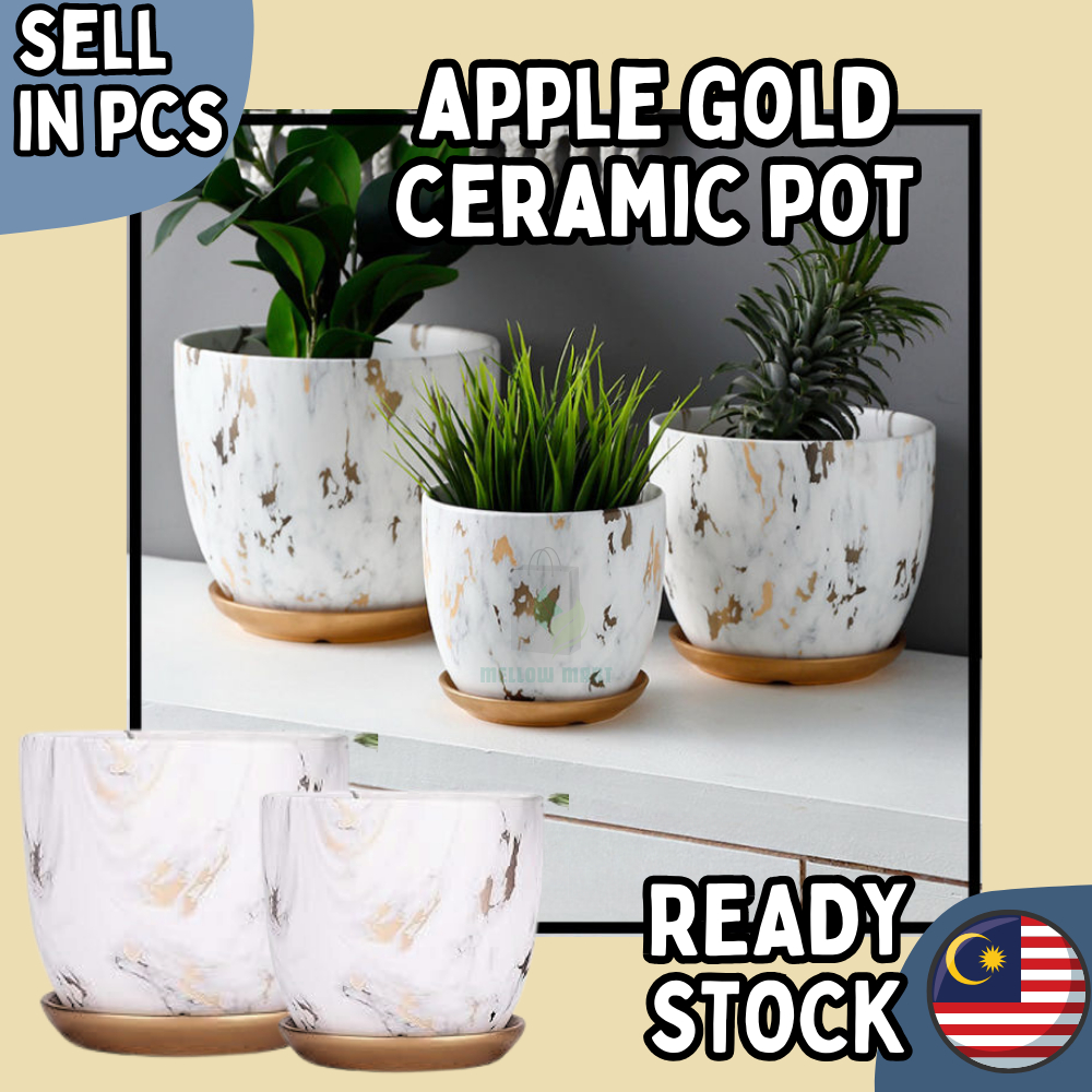 MELLOWMART [WITH GOLD TRAY] Apple GOLD Porcelain Ceramic Large Big ...
