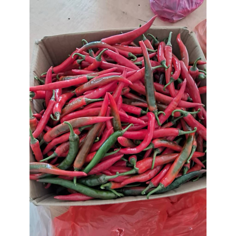 Cili Merah Cili Besar Segar Dari Ladang | Shopee Malaysia