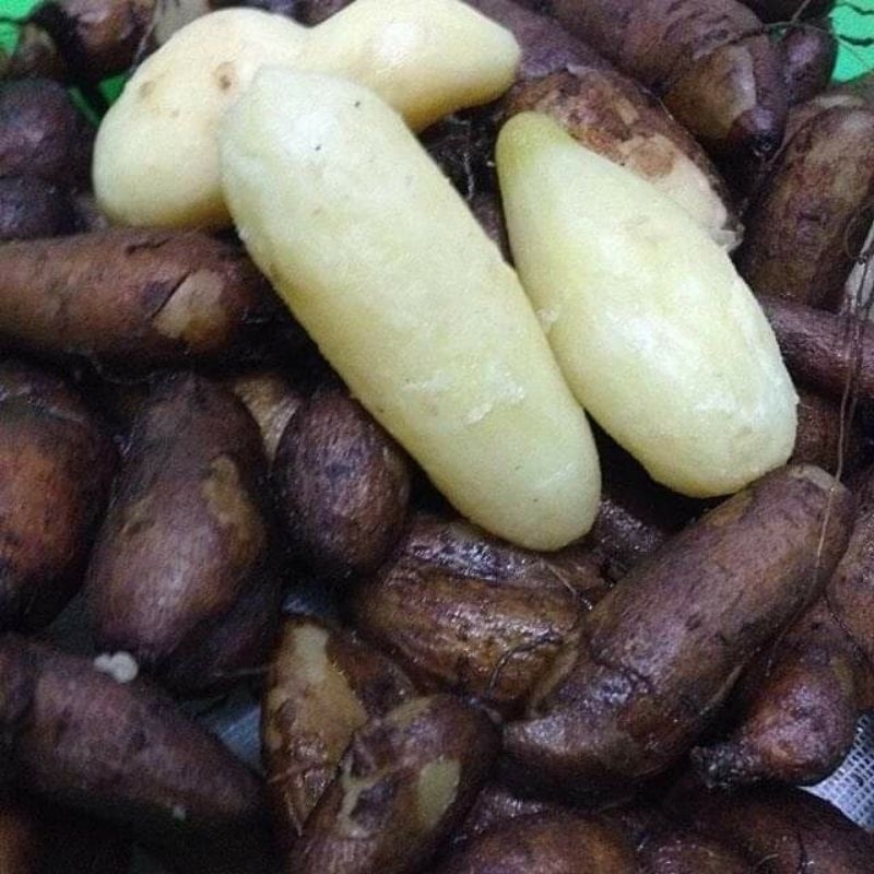 💥UBI KELING / UBI KEMILI /SEDAP LEMAK MANIS 1KG👍💥 | Shopee Malaysia