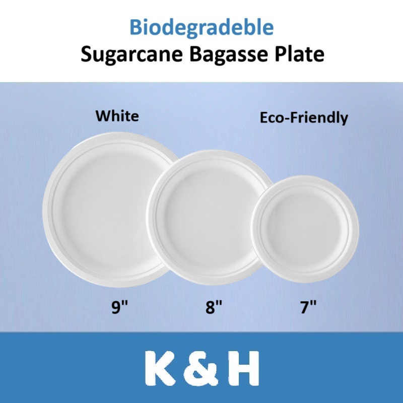 Plat Biodegradasi (50 PCS) Biodegradable Disposable Sugarcane Pulp ...