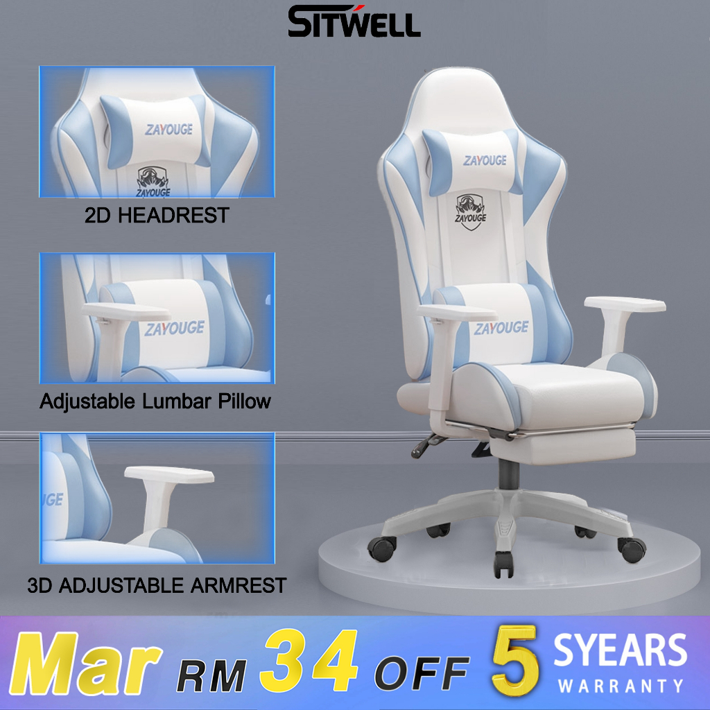 SitWell T01 Professional Computer Chair Ergonomic Office Chair ...