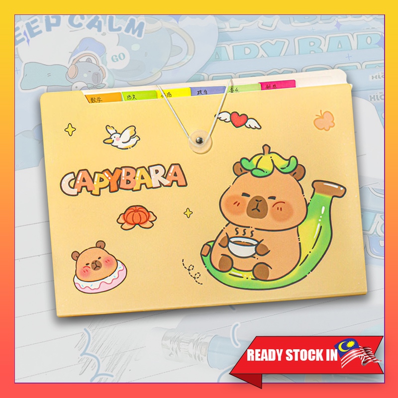 Capybara 12 Pockets A4 expanding file multilayer grid file folder ...