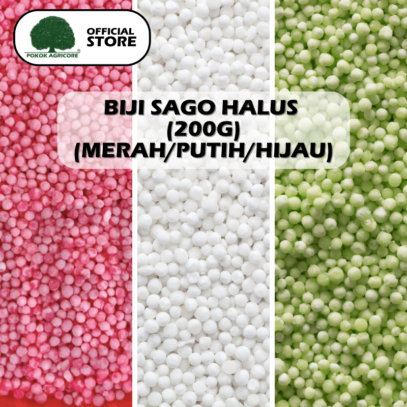 Pokok Agricore Small Sago/Biji Sagu Merah/ Biji Sagu Putih/ Biji Sagu ...