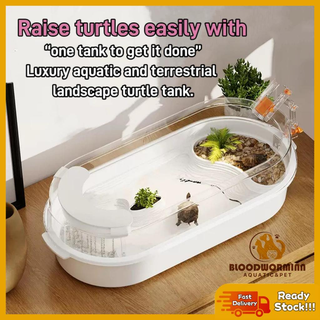 Reptile Turtle Tortoise Vivarium Box Aquarium Tank Basking Ramp ...