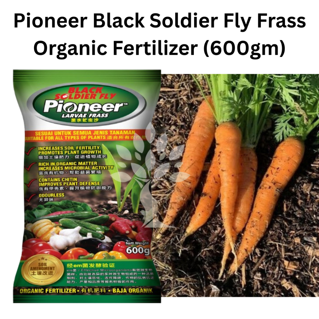 Pioneer Black Soldier Fly Frass Organic Fertilizer Plant Vegetable ...