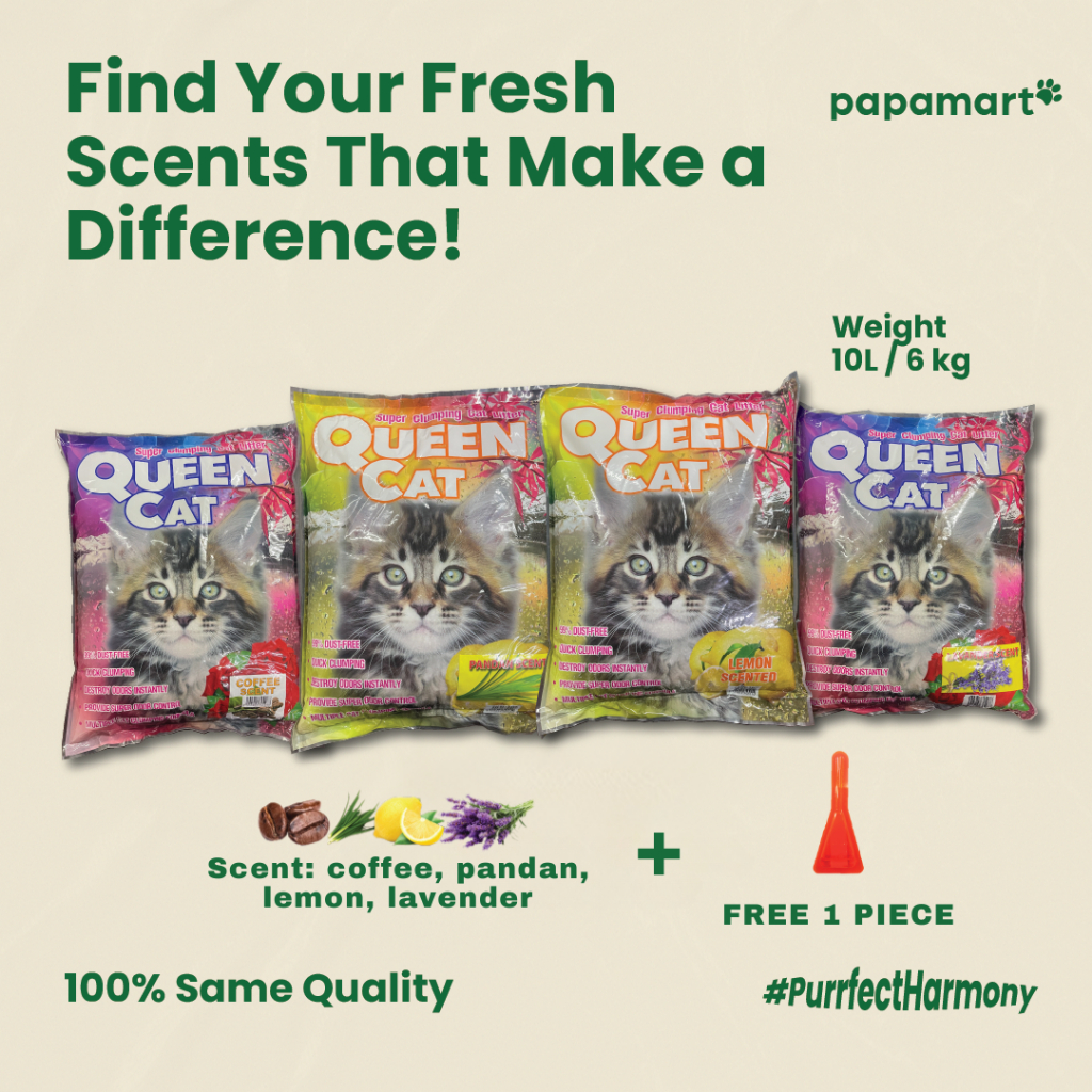 12L/7KG Queen Cat Litter Instant & Strong Clumps Less Than 2 Second 99% ...