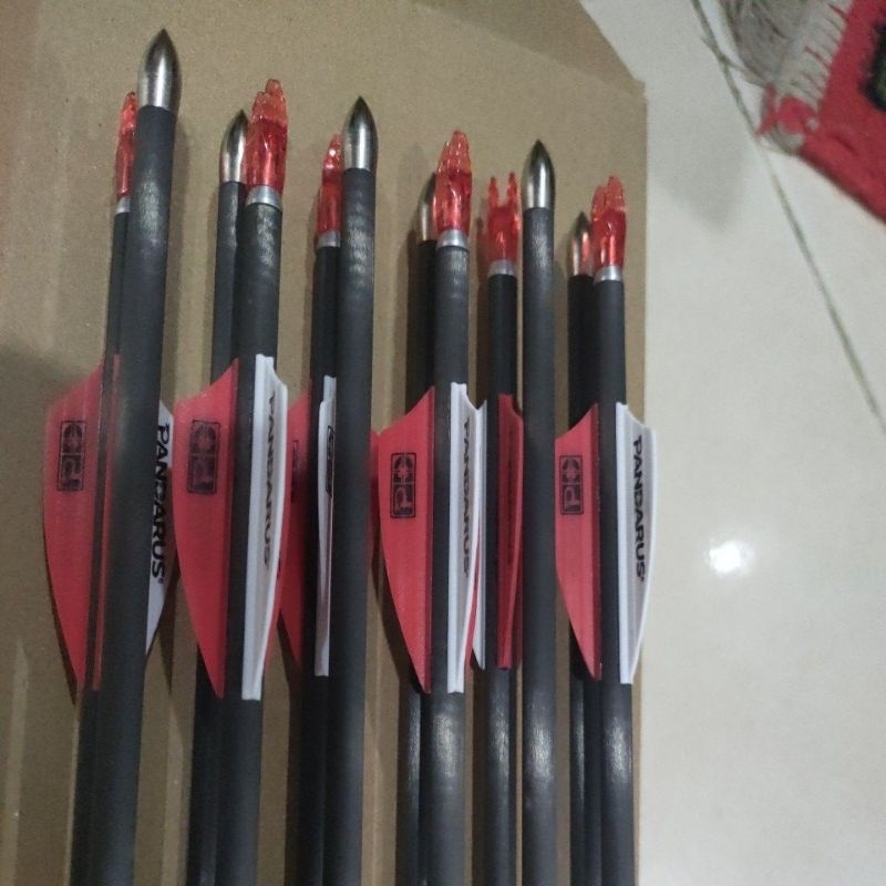 Musen Pure Carbon Arrow ID 4.2mm. 12 pcs. 800sp. Straightness 0.003 ...