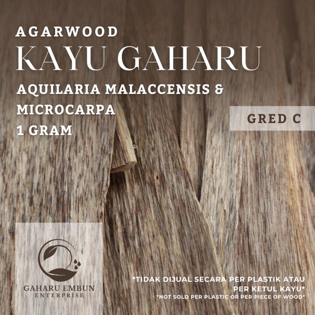 GAHARU EMBUN Gred C Aquilaria Malaccensis & Microcarpa Kayu Gaharu (Agarwood Chip) 1 GRAM ...