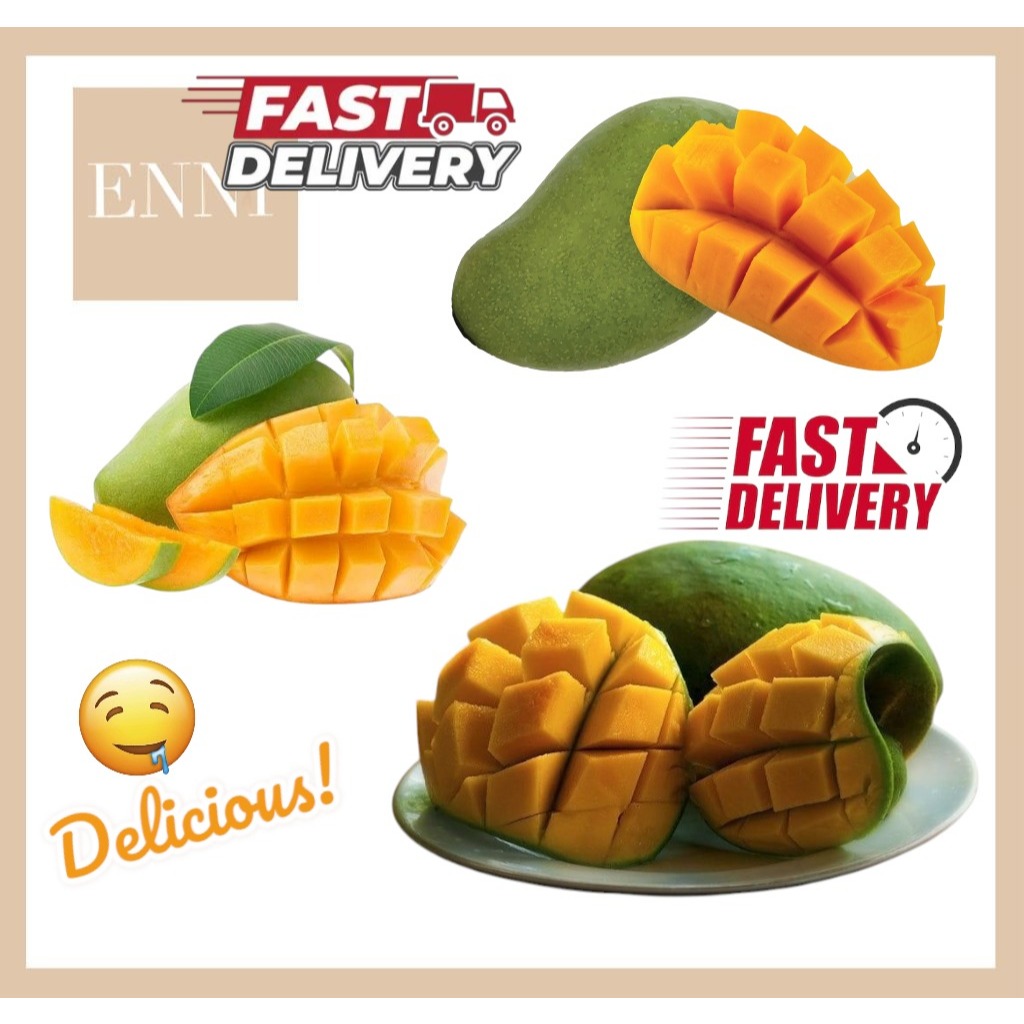 MANGGA HARUM MANIS PERLIS 2 KG PALING SEDAP ! | Shopee Malaysia
