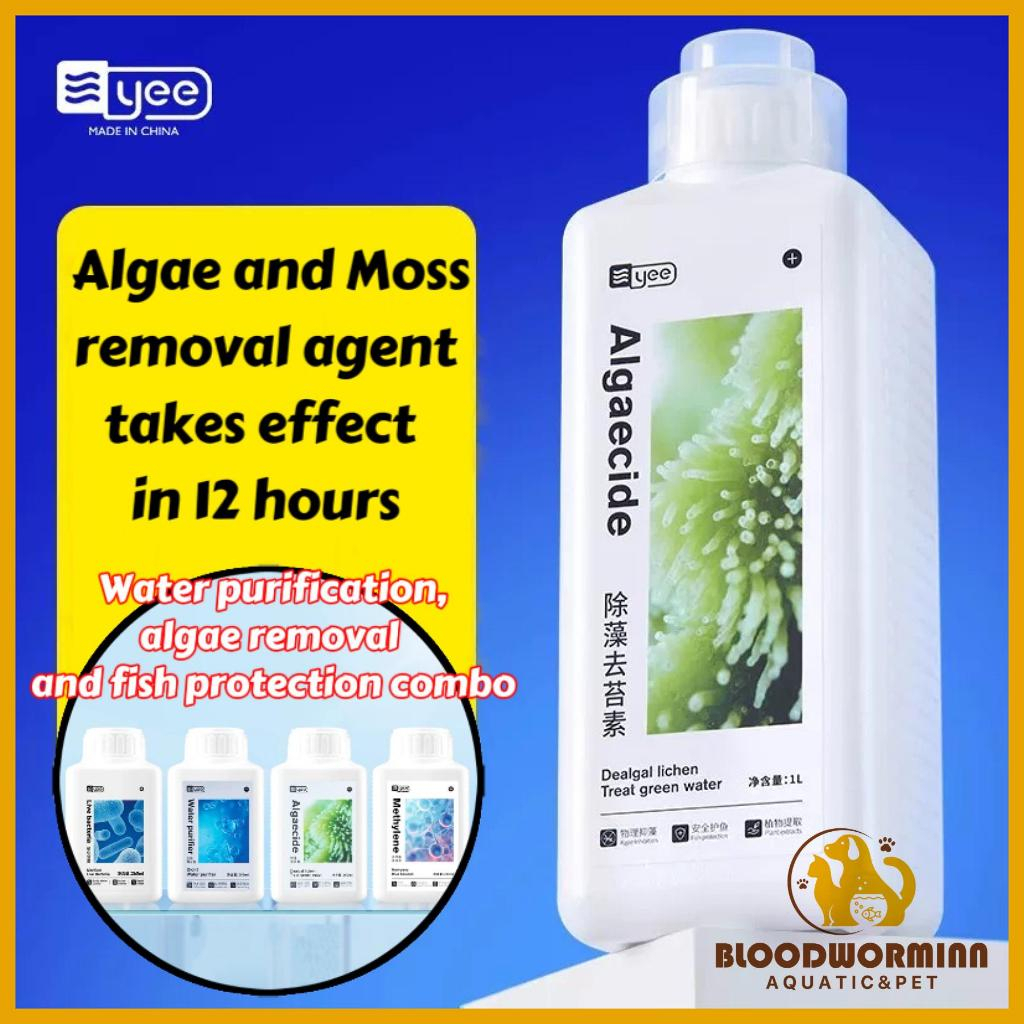YEE Algaecide Removes algae and moss /Water Purifier /Live Bacteria ...