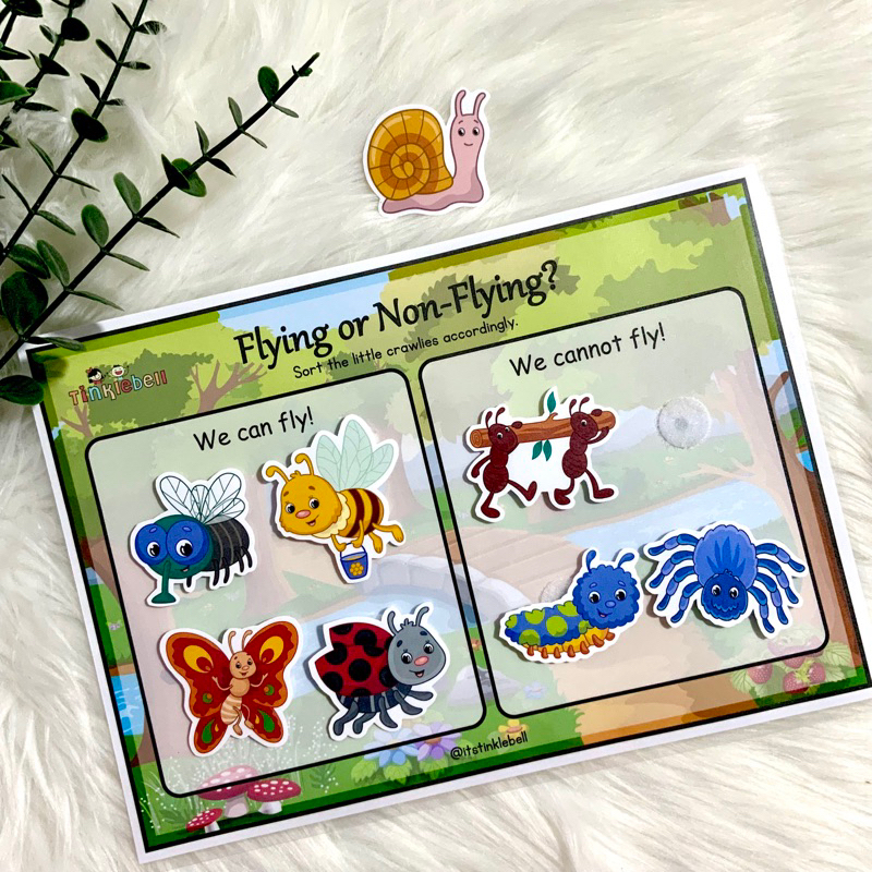 Flying or Non-flying - A4 Velcro laminated activity | Shopee Malaysia