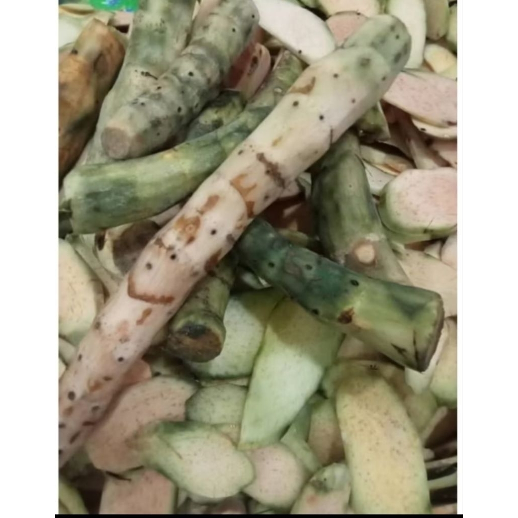 UBI GELI GELI KERING 50G/100G/300G | Shopee Malaysia