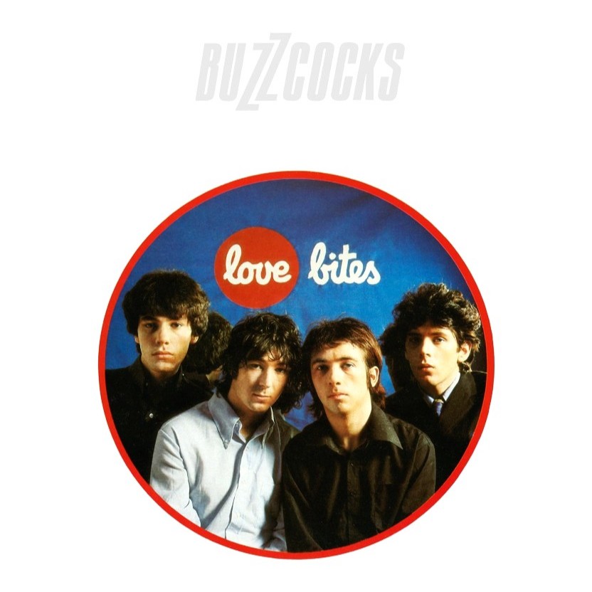 Buzzcocks - Love Bites ( Vinyl / LP ) | Shopee Malaysia