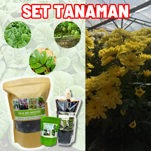 Set Tanaman Baja Akar Baja Subur Organik Baja Bio-Booster/Baja Untuk ...