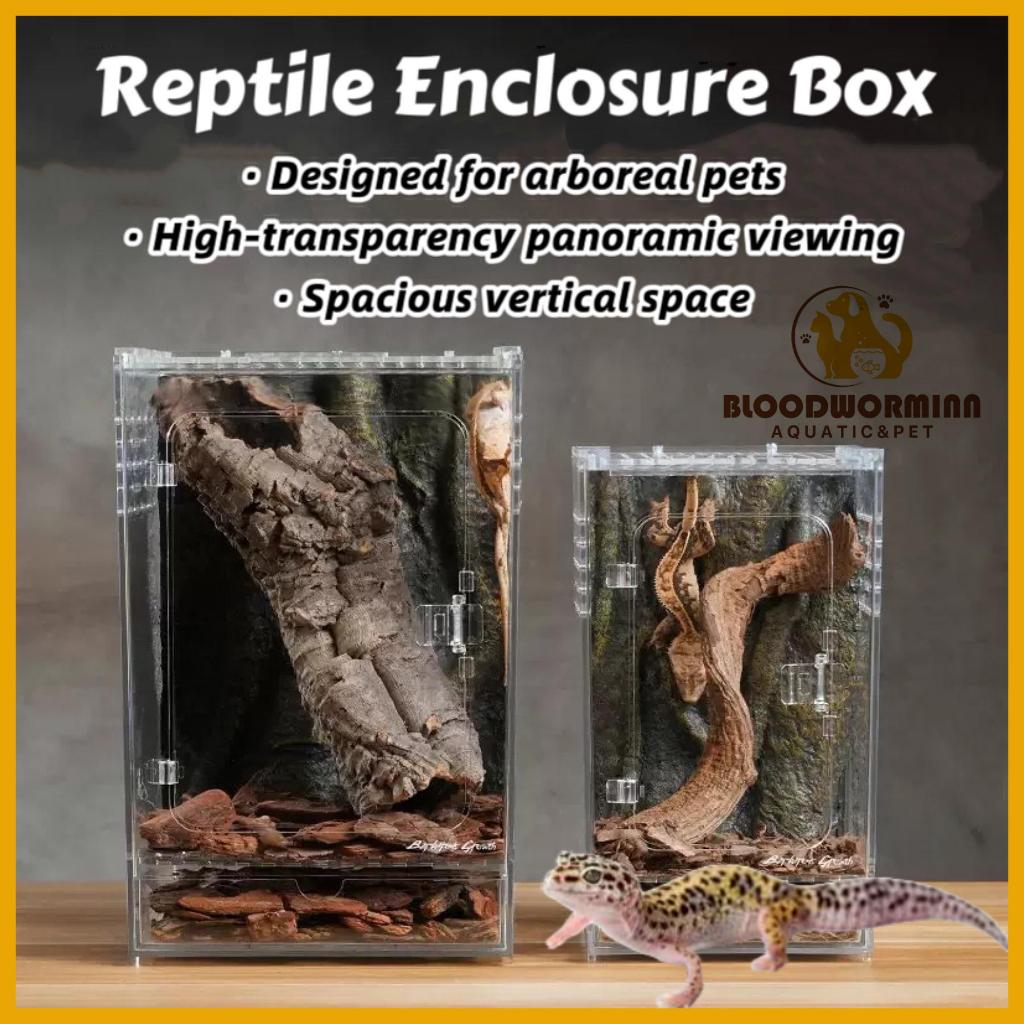Reptile Acrylic Box Tree Habitat Box 360 Degree High Transparent ...