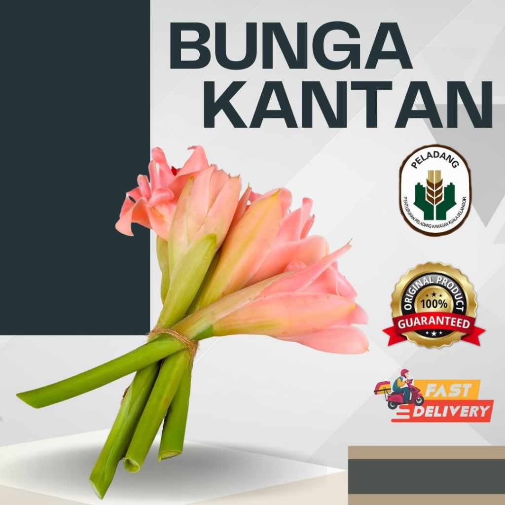 BUNGA KANTAN SEGAR DARI LADANG / PCS | Shopee Malaysia