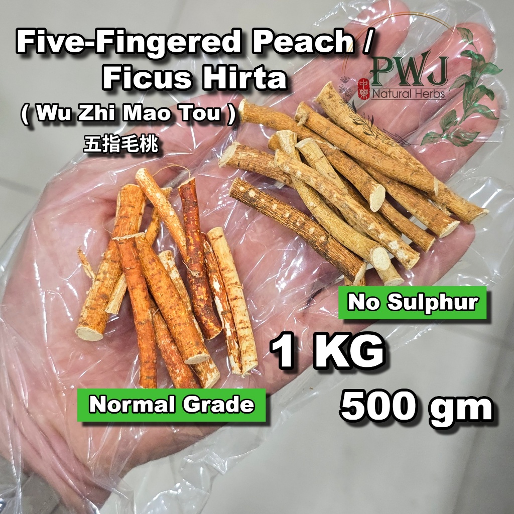 Five-Fingered Peach / Ficus Hirta (Short) 五指毛桃 (节) (500gm & 1kg ...