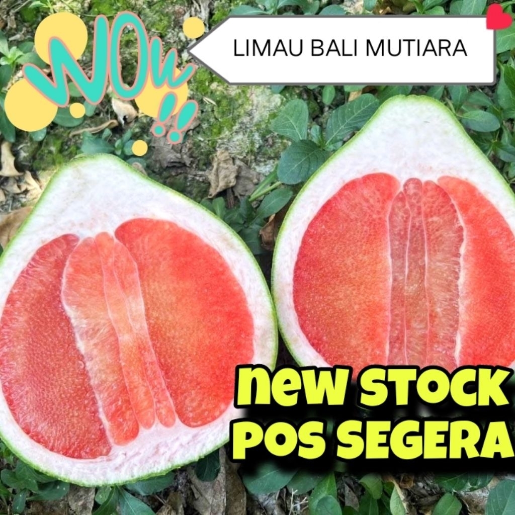 Limau bali isi merah sedap sungguh 1.3kg -1.8kg | Shopee Malaysia