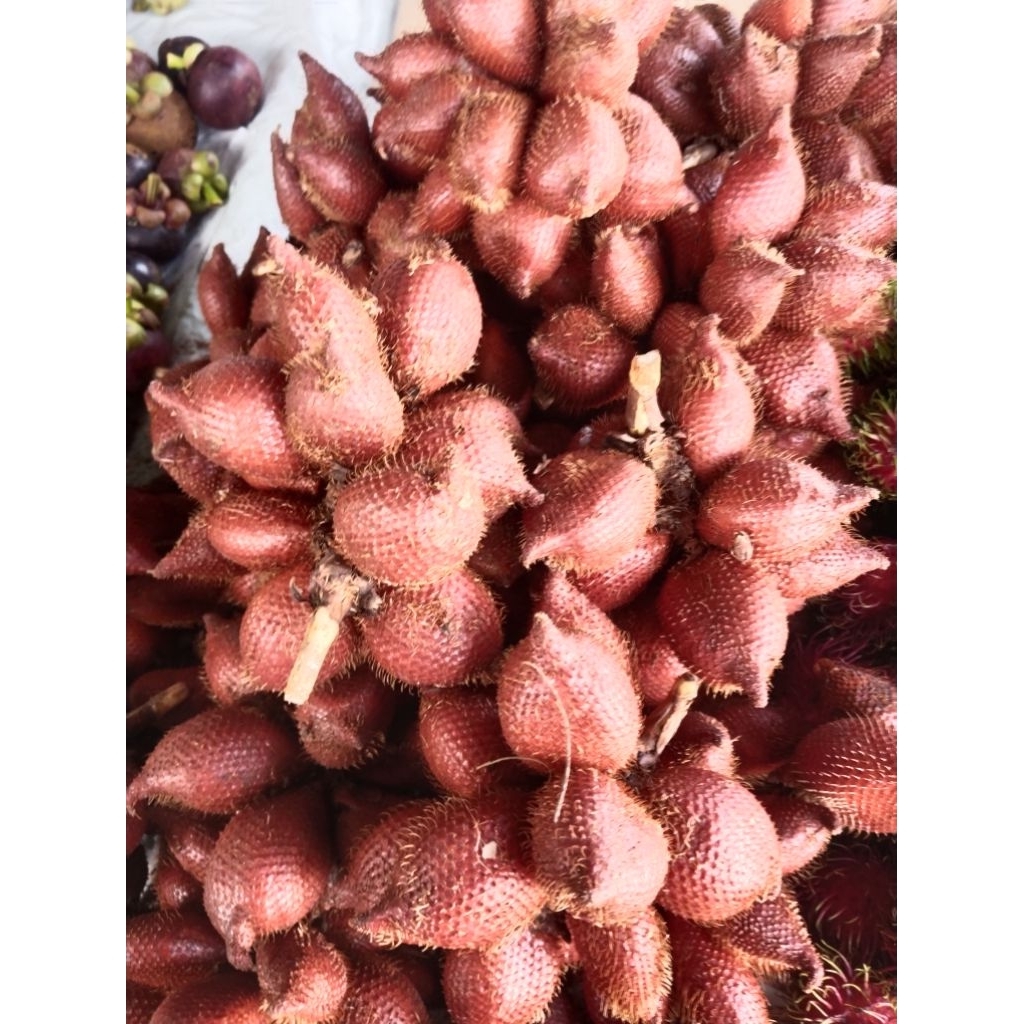 SALAK MADU FRESH 1KG | Shopee Malaysia