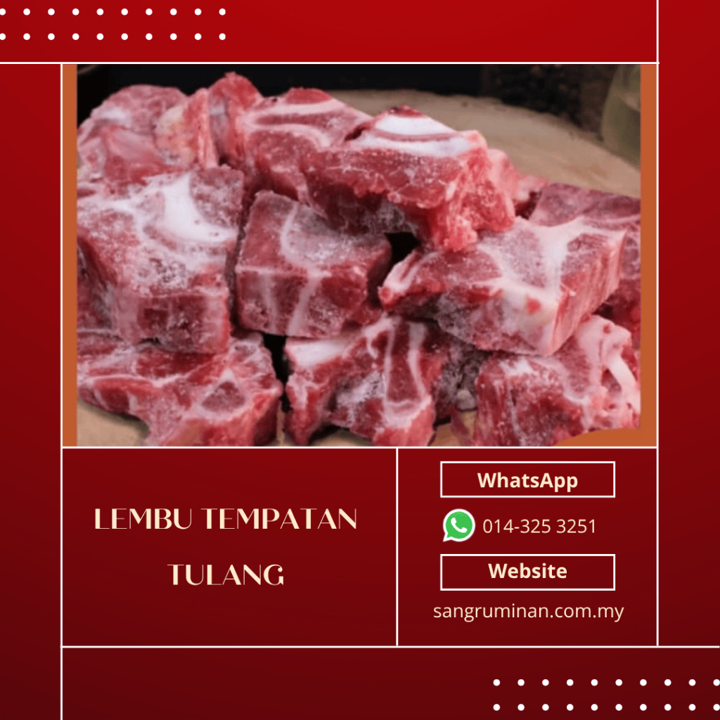(LEMBU TEMPATAN) Tulang / Local Beef Bone | Shopee Malaysia